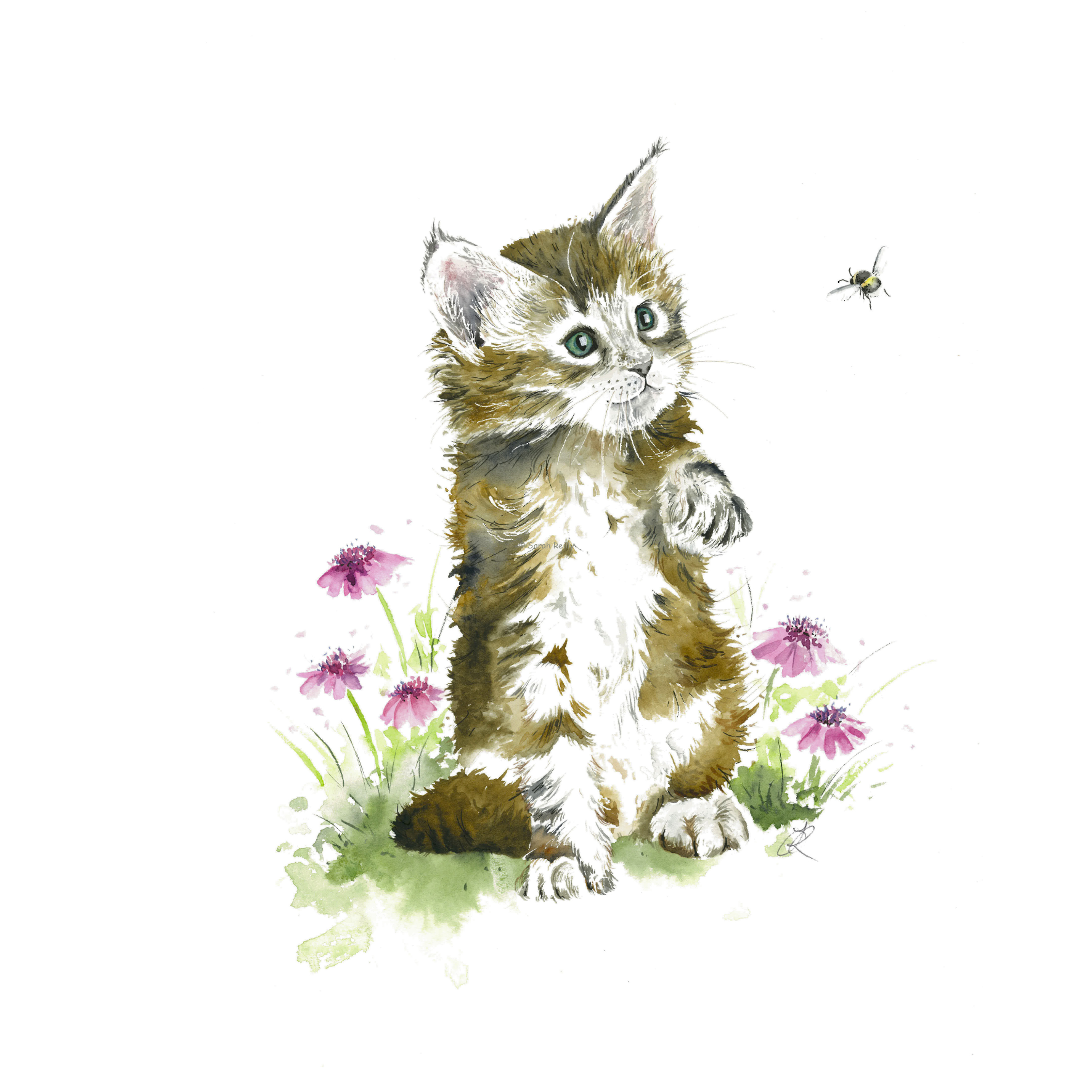 blossom - Love Country by Sarah Reilly
